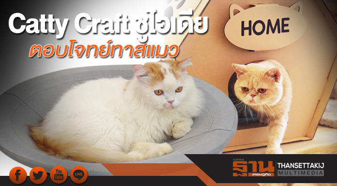Catty Craft ชูไอเดียตอบโจทย์ทาสแมว