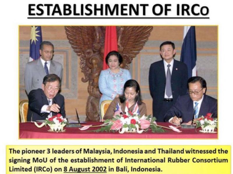 โชว์วิสัยทัศน์ ‘ประธาน IRCo’คุมพื้นที่ปลูก สกัดยางล้นโลก