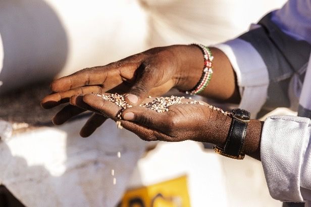 DMHT ประกาศความสำเร็จสู่เป้าหมายความยั่งยืน