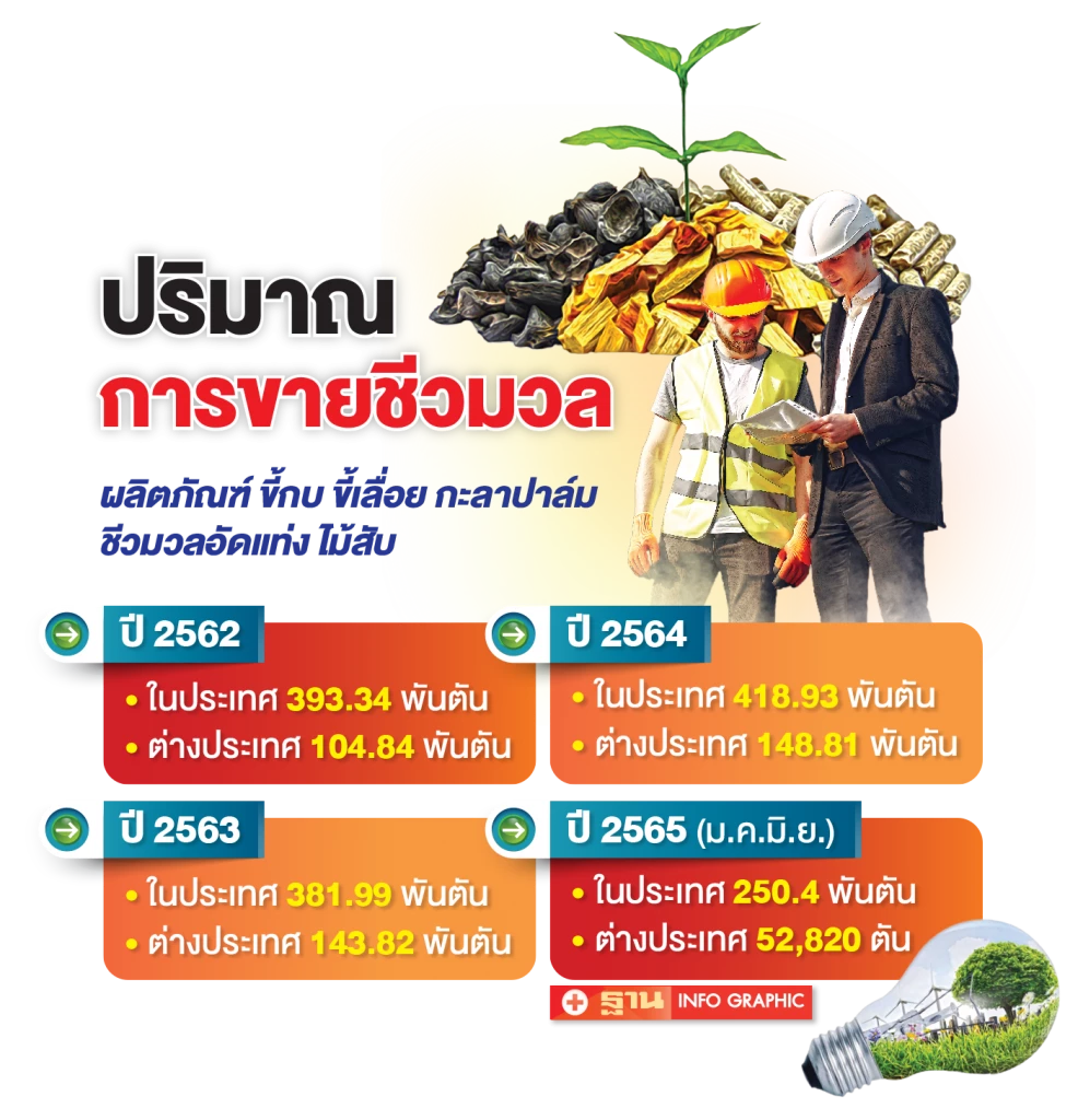 ABM เพิ่มทุน 270 ล้าน ขยายผลิตไม้สับยูคาฯ รับเชื้อเพลิงชีวมวลโต