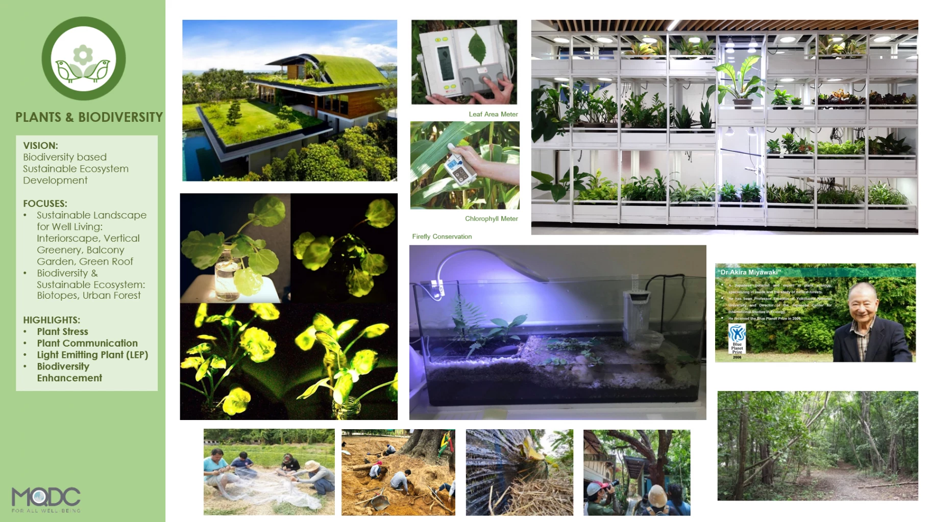 ศูนย์วิจัยและนวัตกรรมเพื่อความยั่งยืน (RISC by MQDC) เดินหน้า 3 กิจกรรมร่วมเปลี่ยนโลก เพิ่ม ...