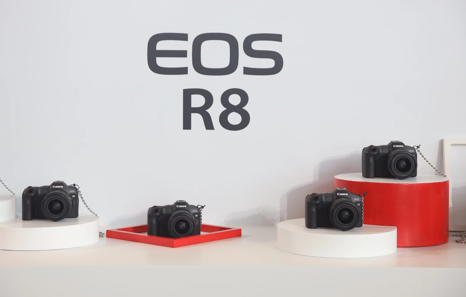 “EOS R8-EOS R50” กล้องมิเรอร์เลส 2 รุ่นใหม่สายคอนเทนต์ครีเอเตอร์