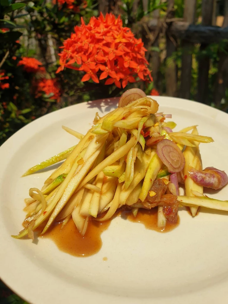 “ตำมะม่วง” ว่าที่ Soft Powerใหม่ตามรอย"ลิซ่า Blackpink"