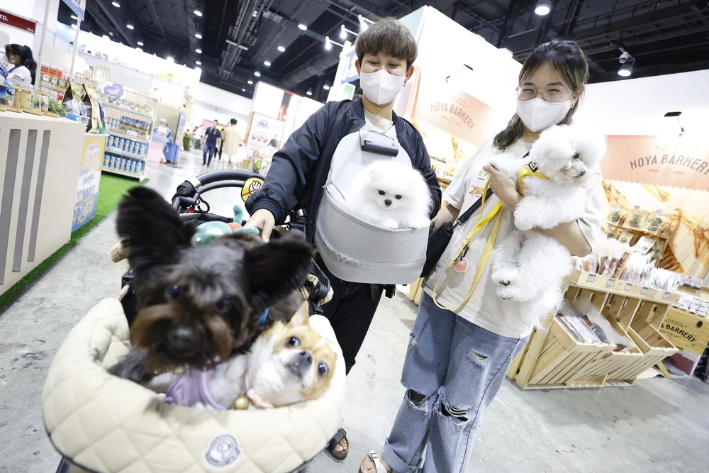 โค้งท้าย PET EXPO CHAMPIONSHIP 2023 คนรักสัตว์ทะลักศูนย์สิริกิติ์