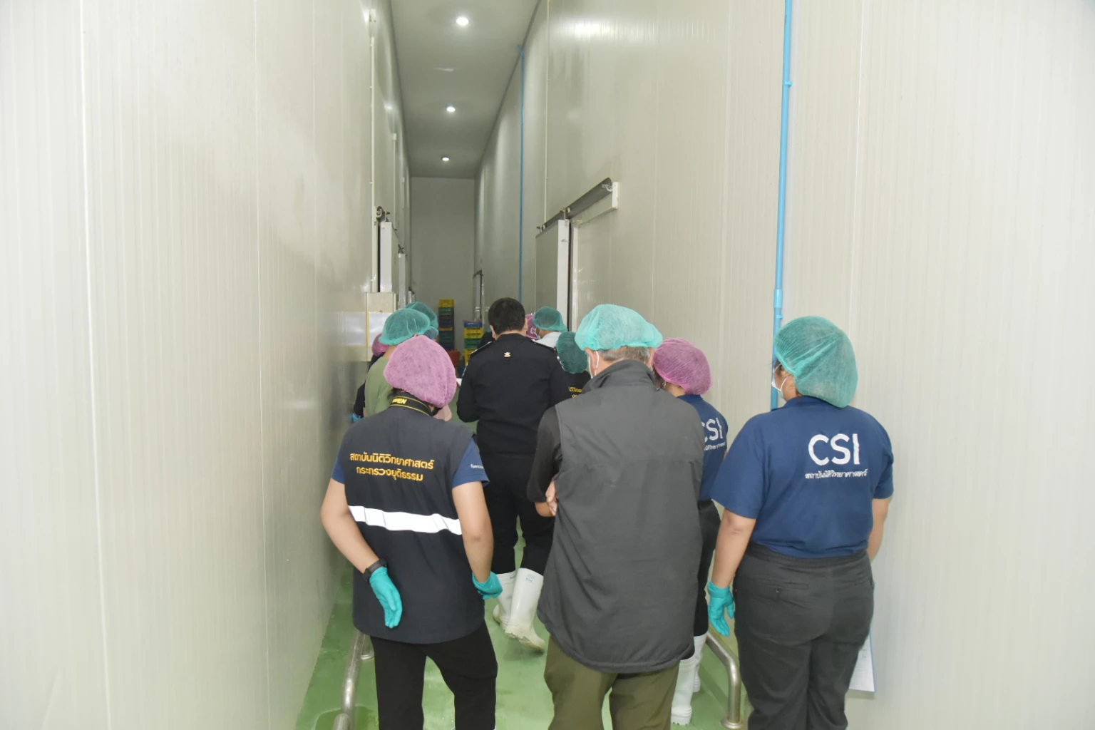 DSI ค้น 3 จุดนครปฐม "เอี่ยวหมูเถื่อน" โยงโอน 200 ล้านให้เจ้าของห้องเย็น