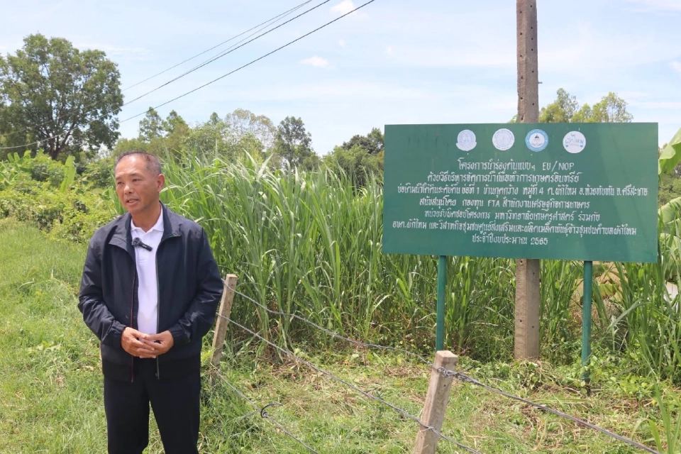 กองทุน FTA ทุ่ม 24.98 ล้าน ปั้น 'ถั่วเหลืองอินทรีย์' ยกระดับเกษตรไทย