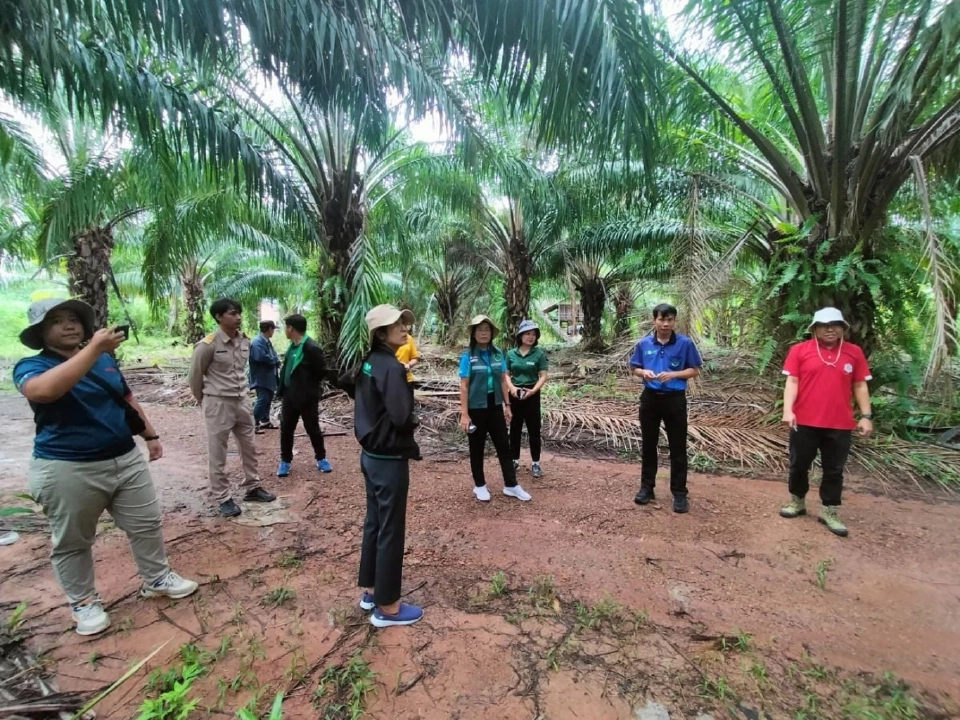 เร่งเกษตรดิจิทัล! 'Geoplots' อาวุธใหม่สู้ตลาดโลก–EUDR