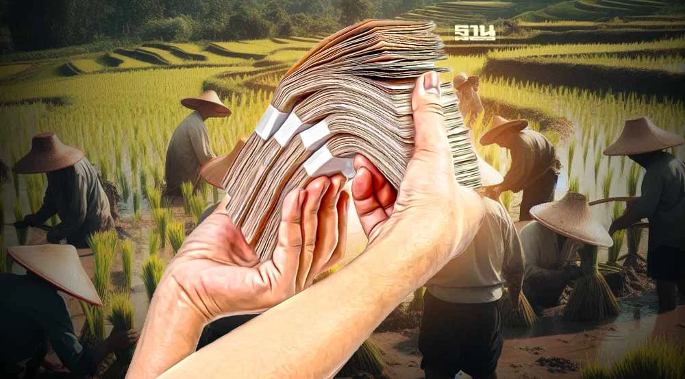 เปิดรายละเอียดโครงการประกันรายได้เกษตรกรผู้ปลูกข้าวปี 2566/67